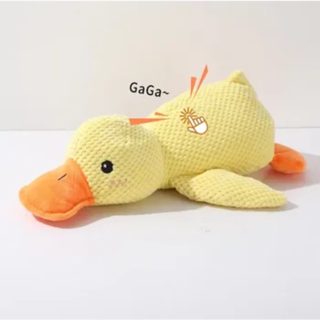 Quack & Cuddle Dog Toy – ALFI-Home